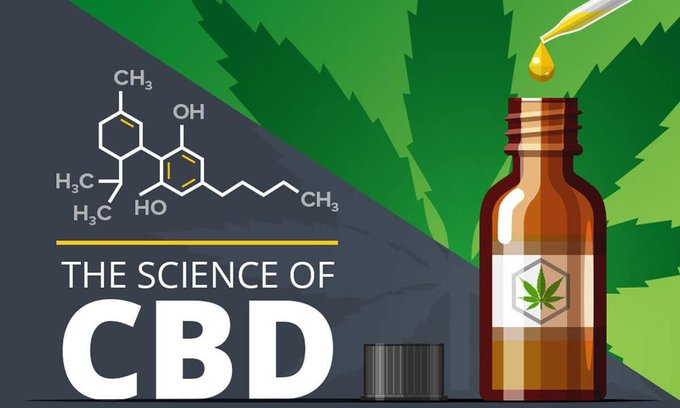 The Science Of CBD - Hydroponify
