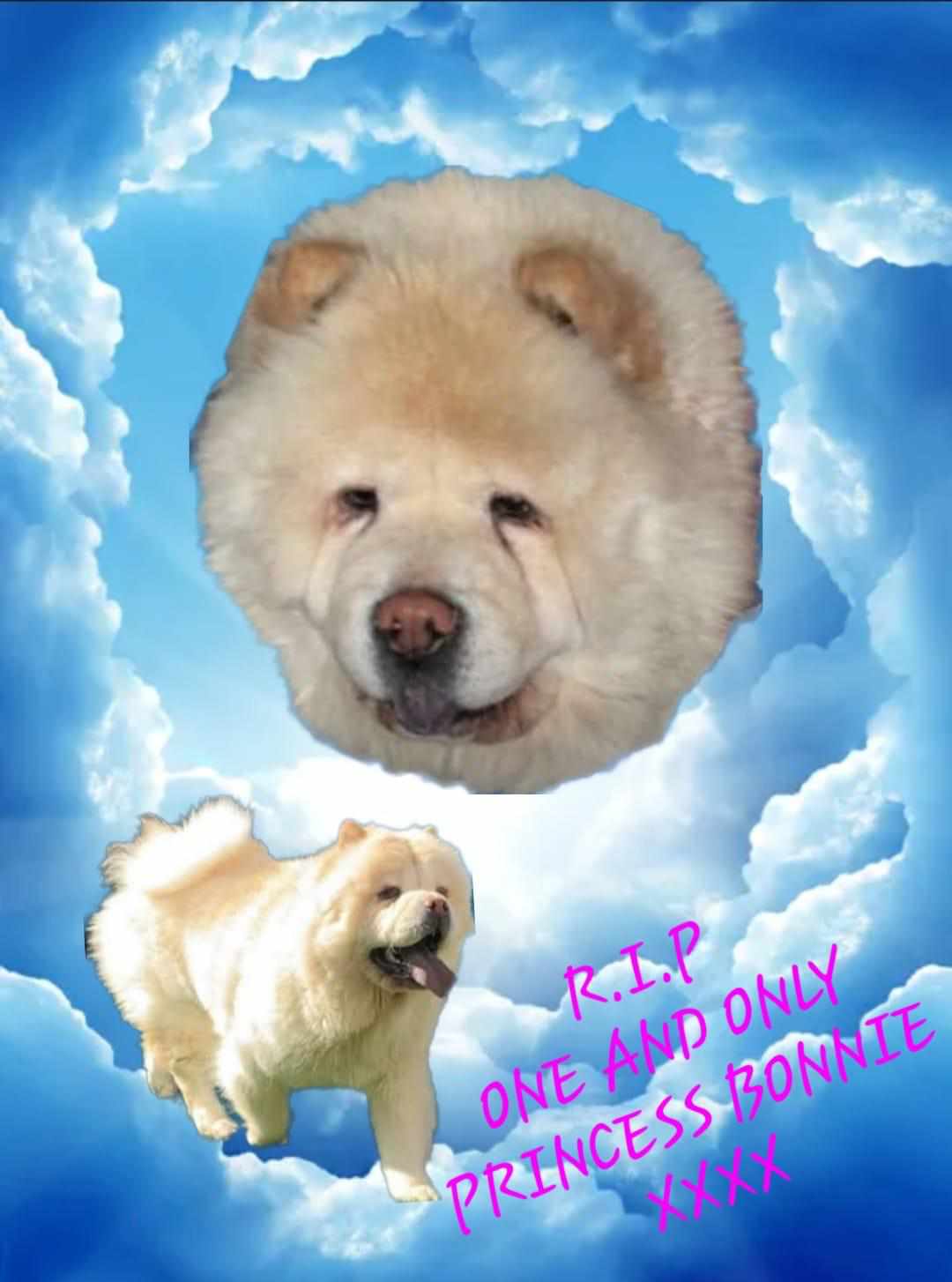 R.I.P Princess Bonnie - Hydroponify